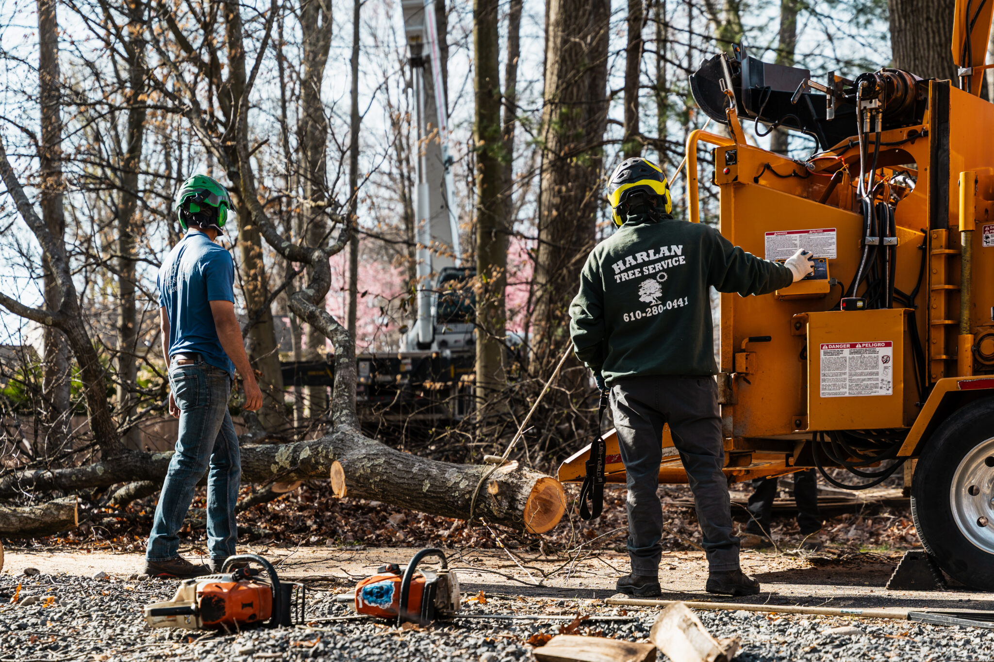 About Harlan - Tree Removal & Trimming in Chester County | Harlan Tree ...